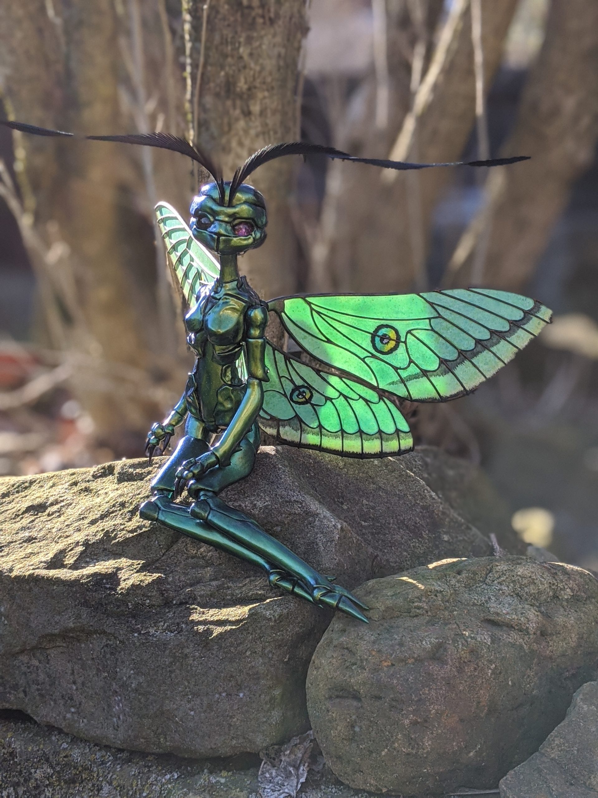 Completed » Insect Fairies – FichtenFoo