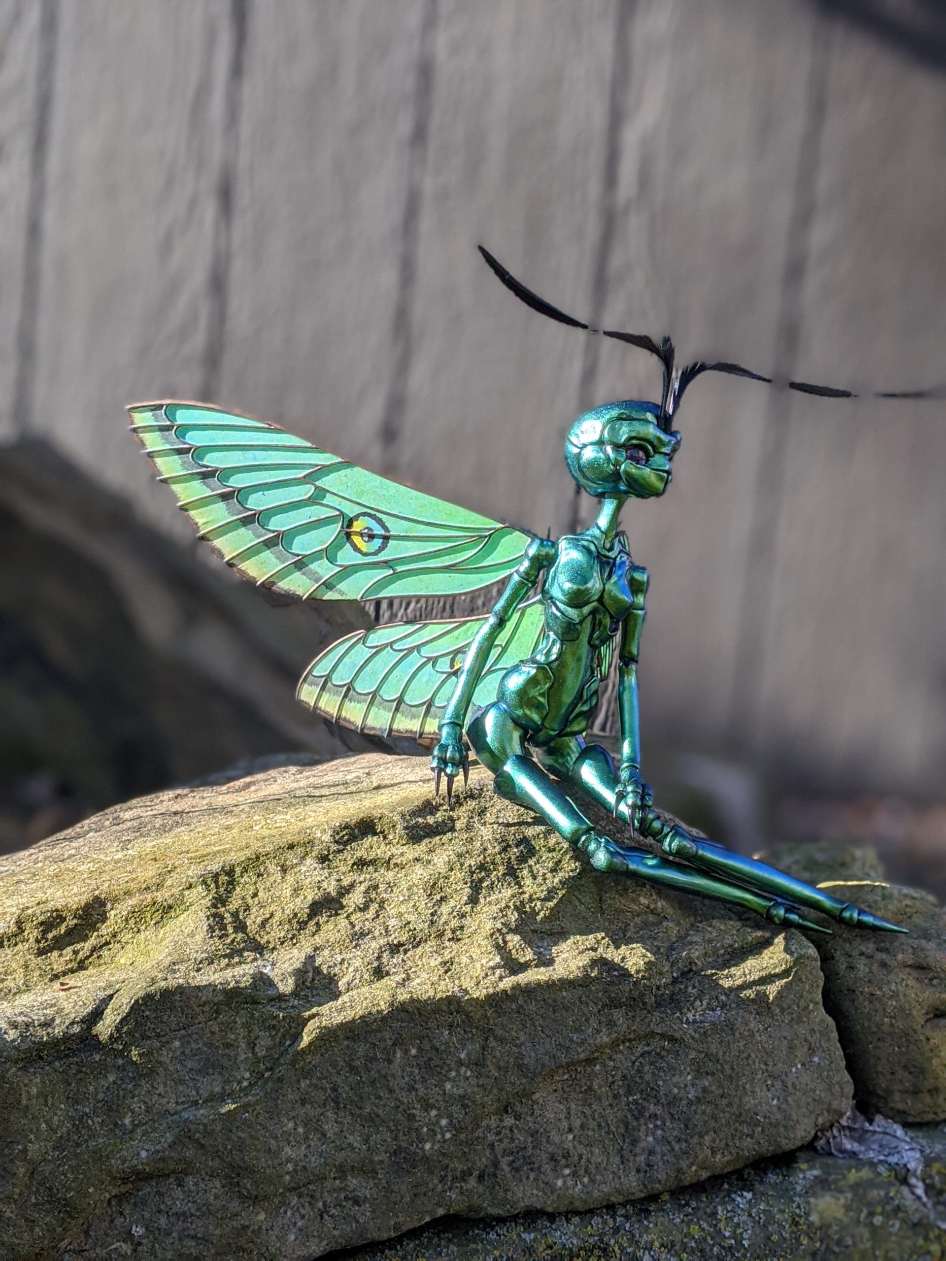 Completed » Insect Fairies – FichtenFoo