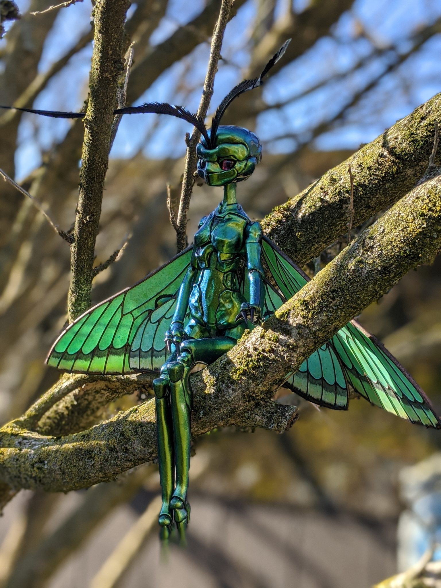 Completed » Insect Fairies – FichtenFoo