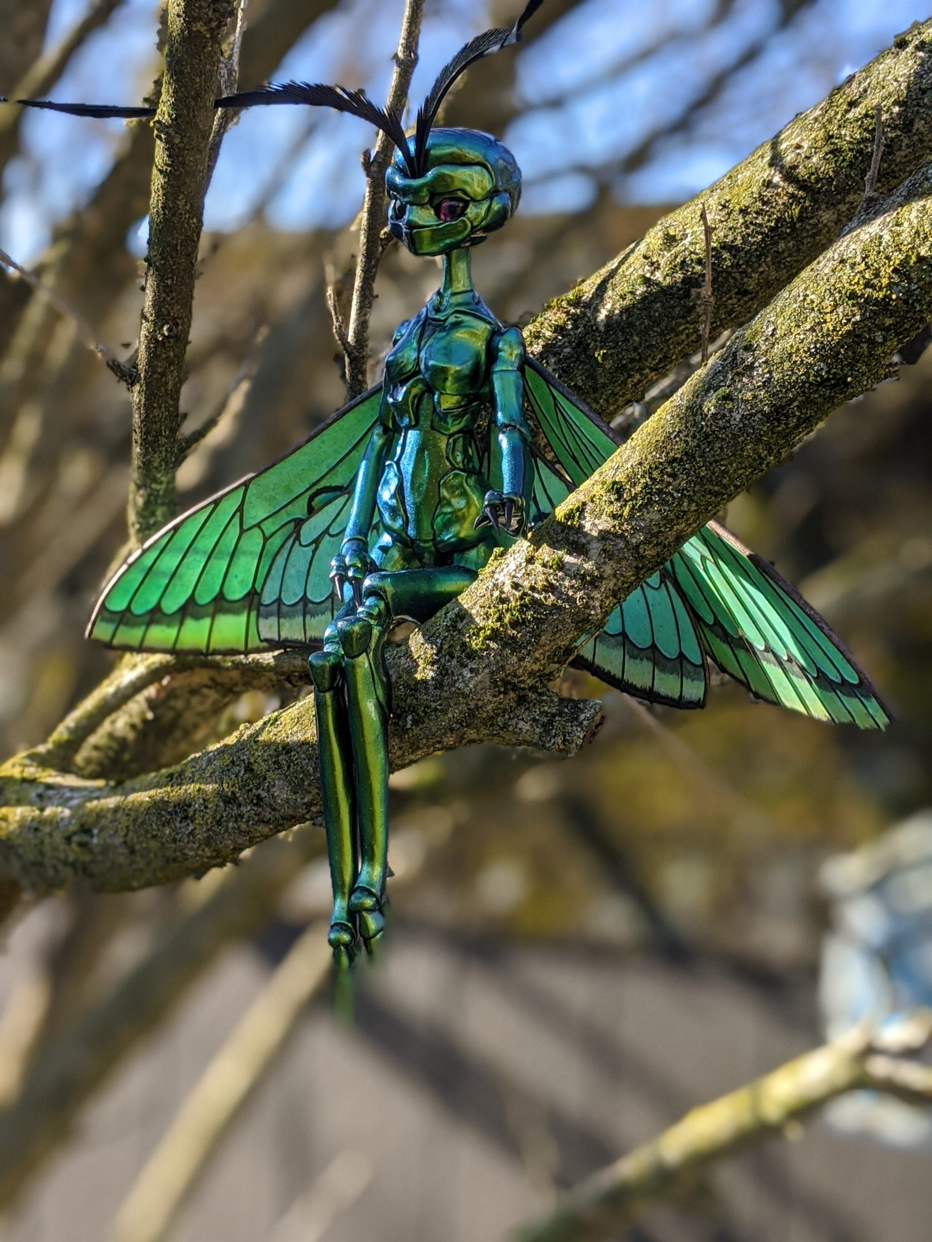 Completed » Insect Fairies – FichtenFoo