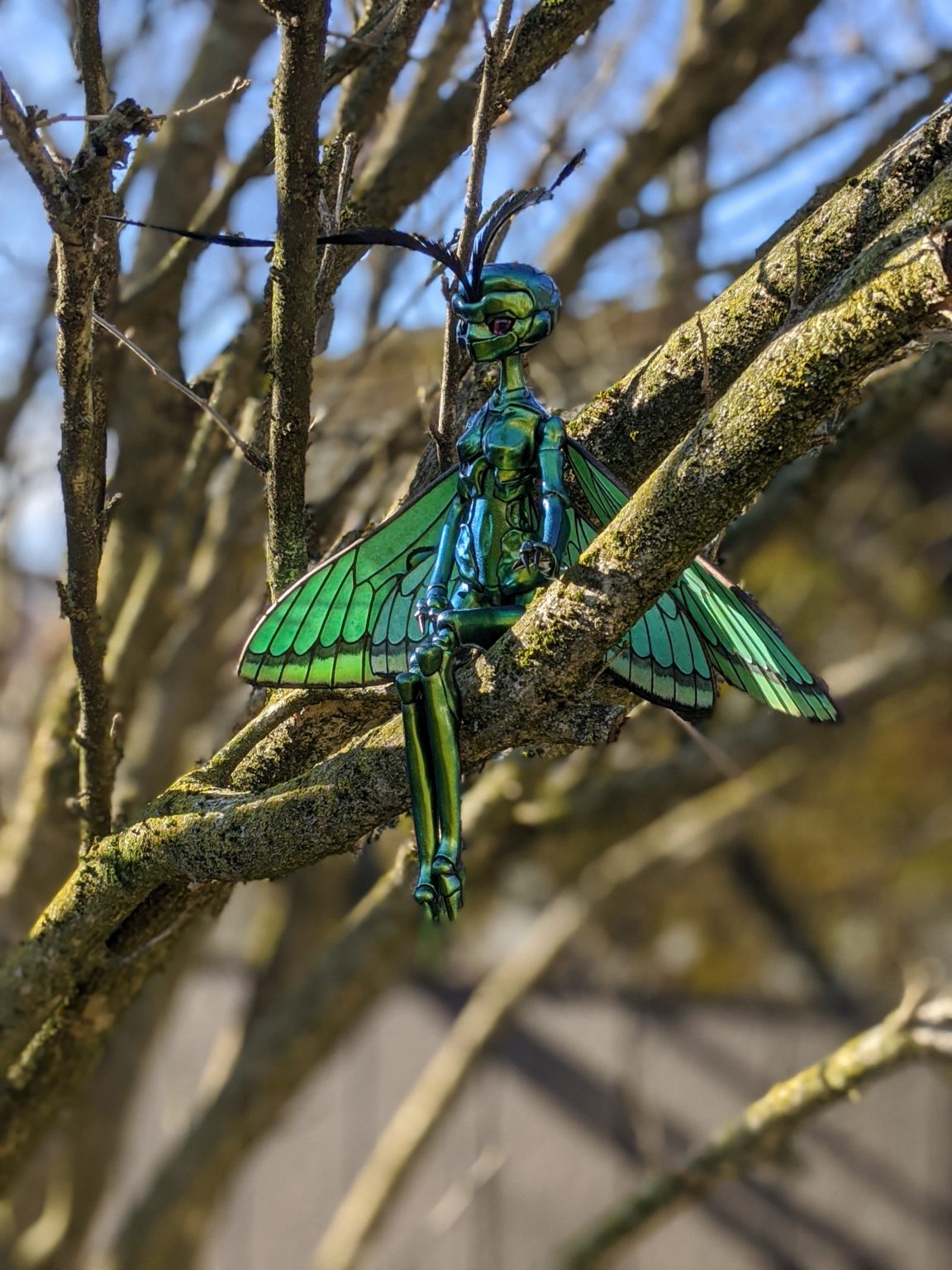 Completed » Insect Fairies – FichtenFoo