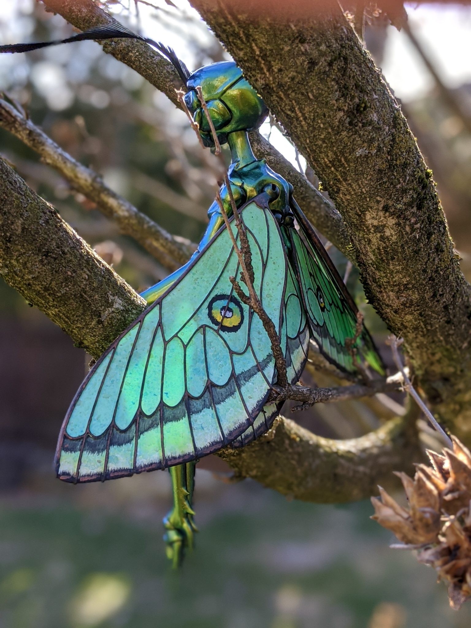 Completed » Insect Fairies – FichtenFoo