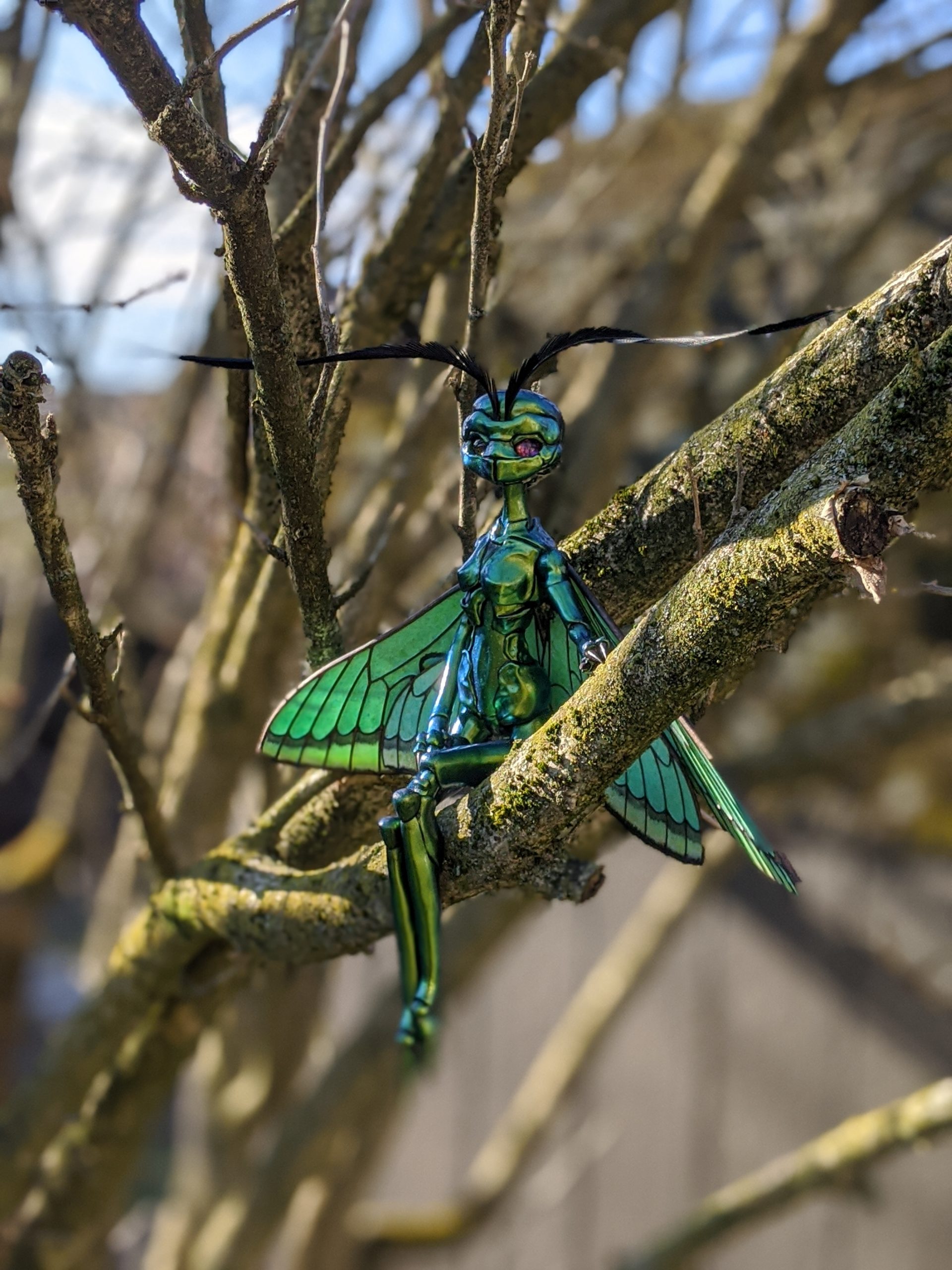 Completed » Insect Fairies – FichtenFoo