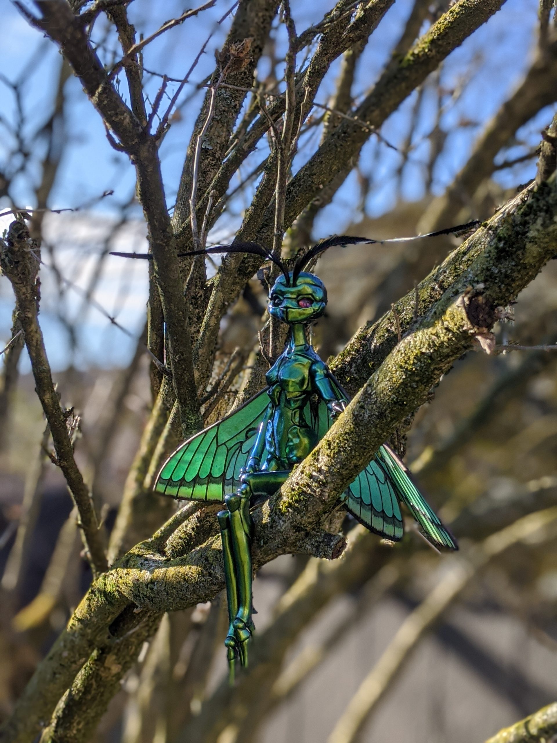 Completed » Insect Fairies – FichtenFoo