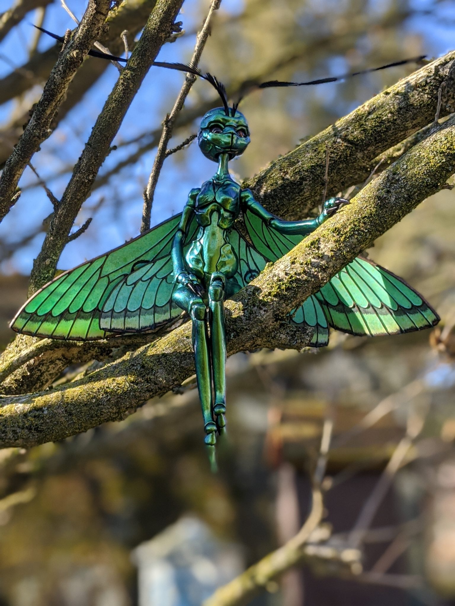 Completed » Insect Fairies – FichtenFoo