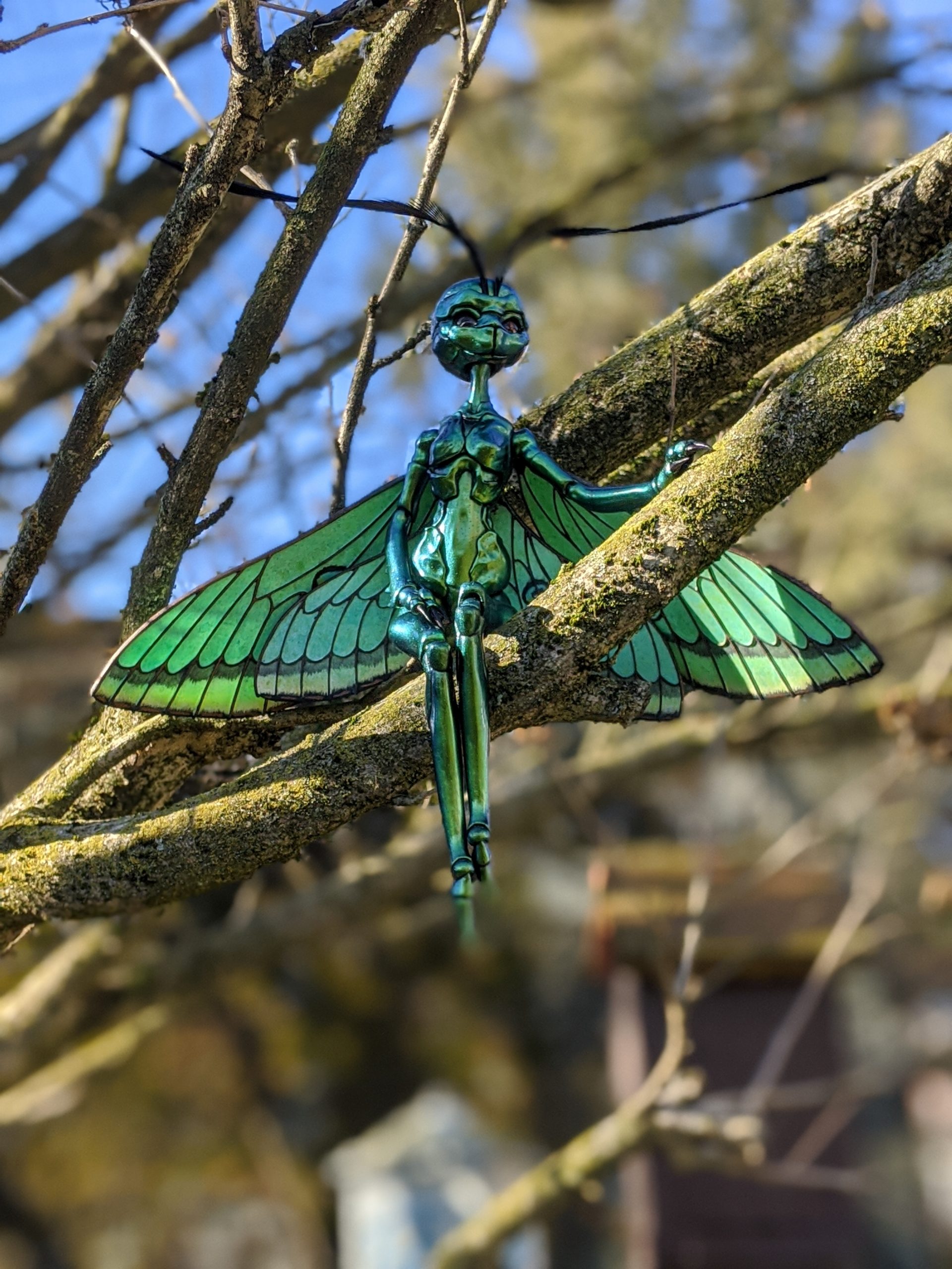Completed » Insect Fairies – FichtenFoo